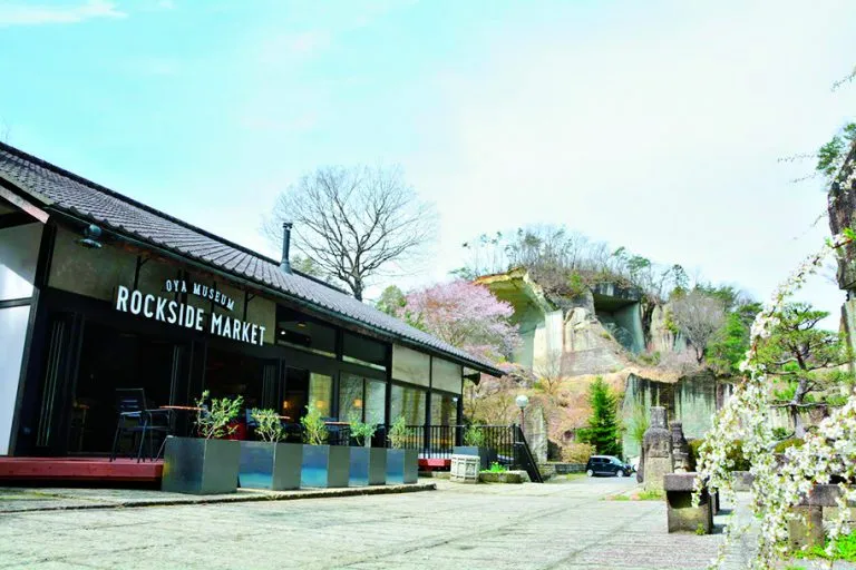 DMA-120_3 | Regina（レジーナ）